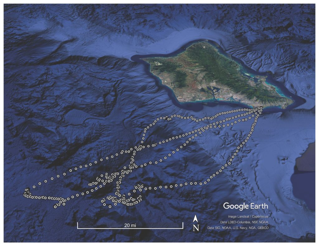 Research - Freeman Seabird Preserve
