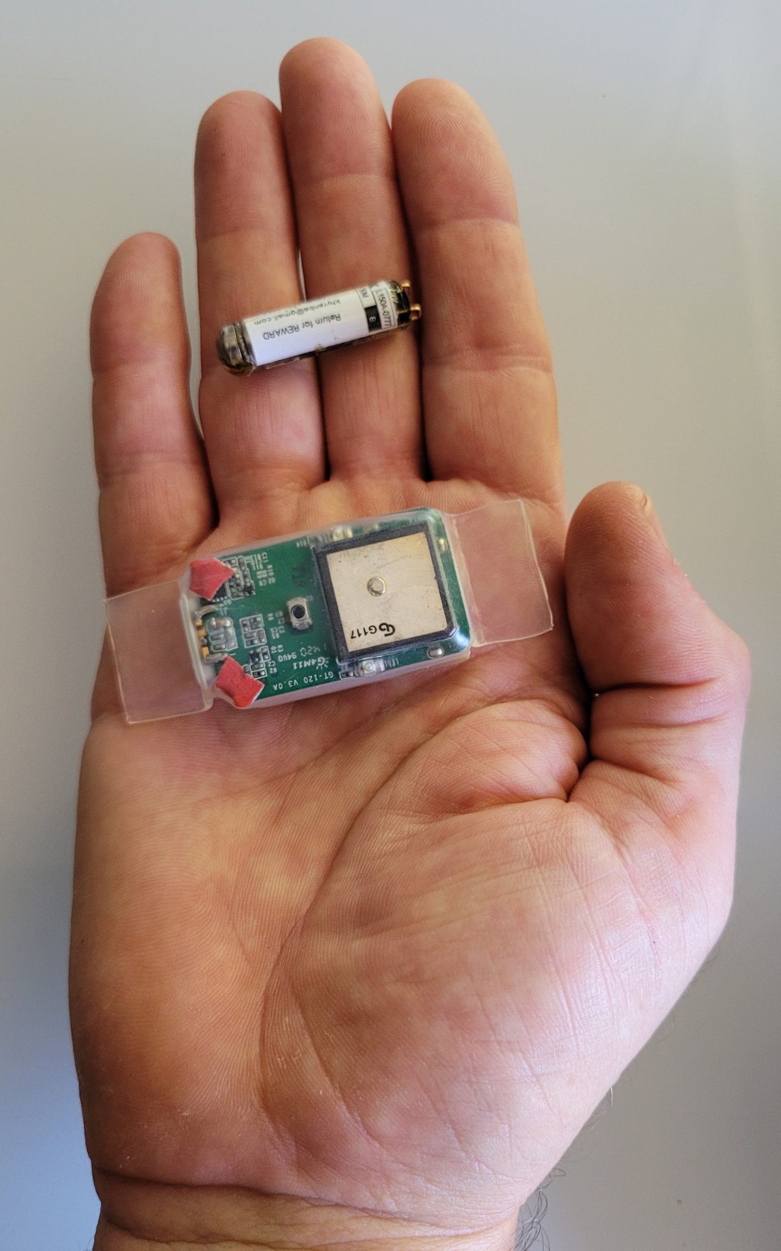 Research - Freeman Seabird Preserve